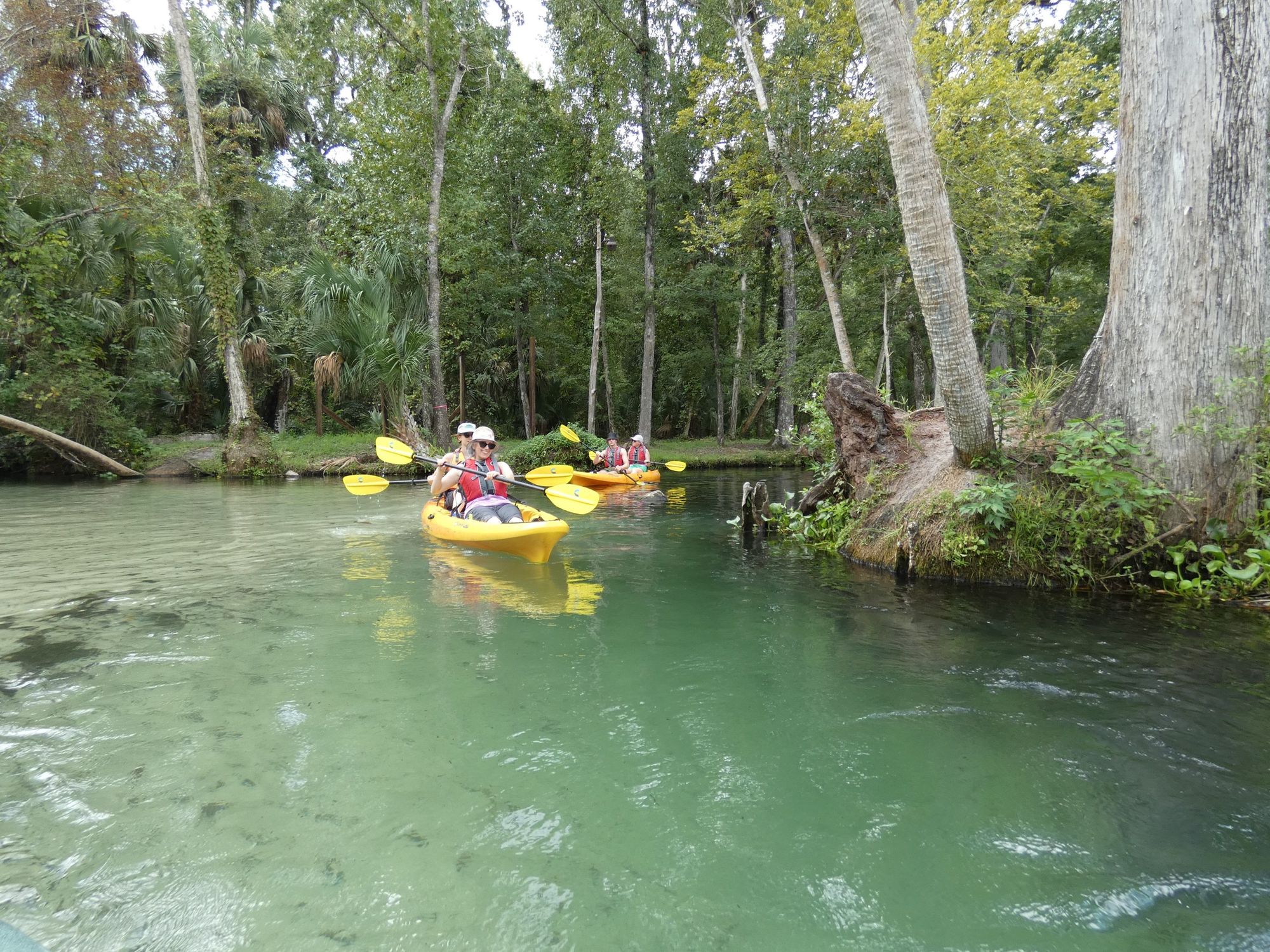 Emerald Cut Kayak Adventure - Venture Outdoors