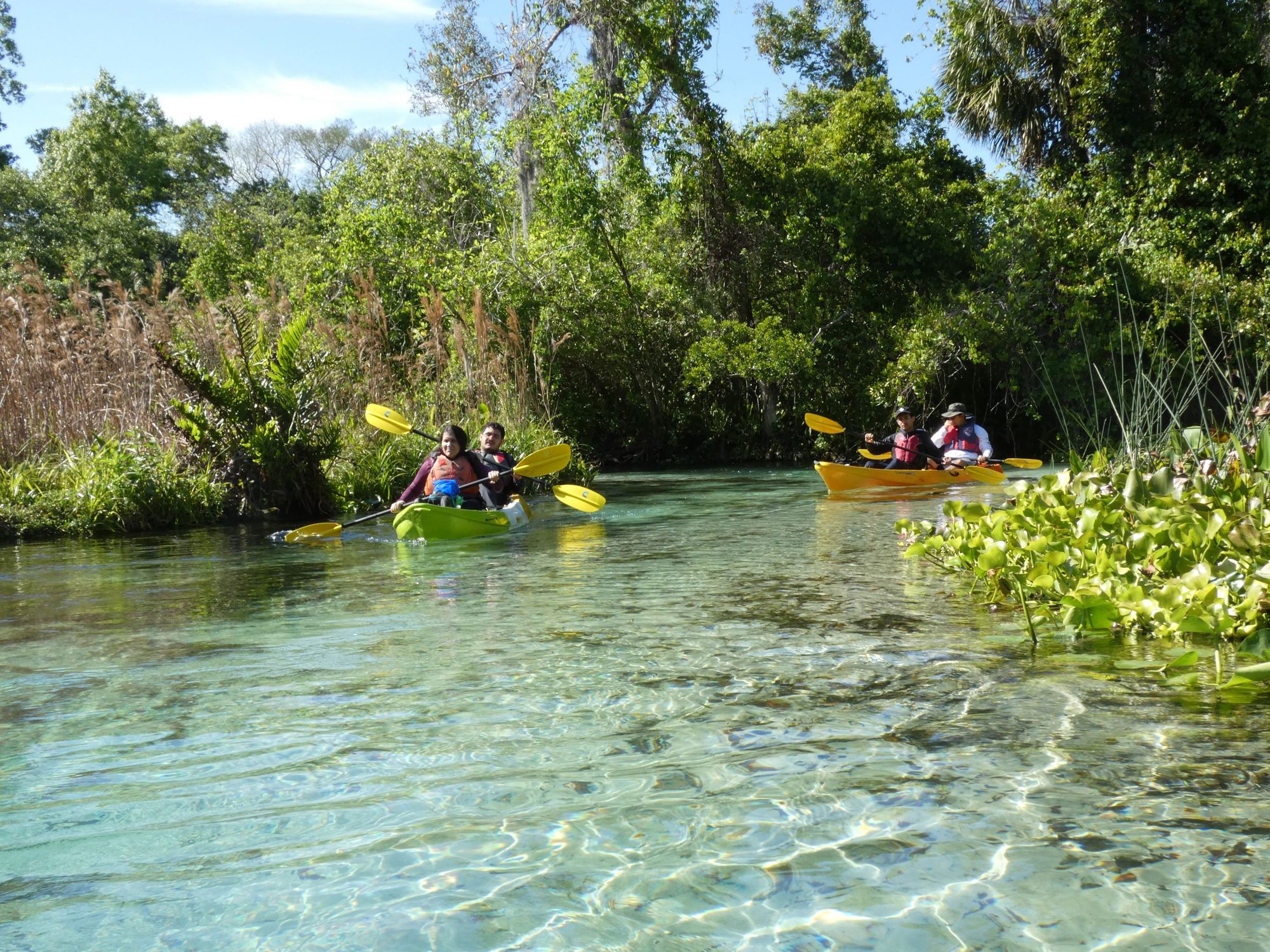 Emerald Cut Kayak Adventure - Venture Outdoors