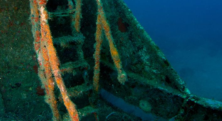 The Top Rated Diving Excursions In Grenada - Dive Grenada