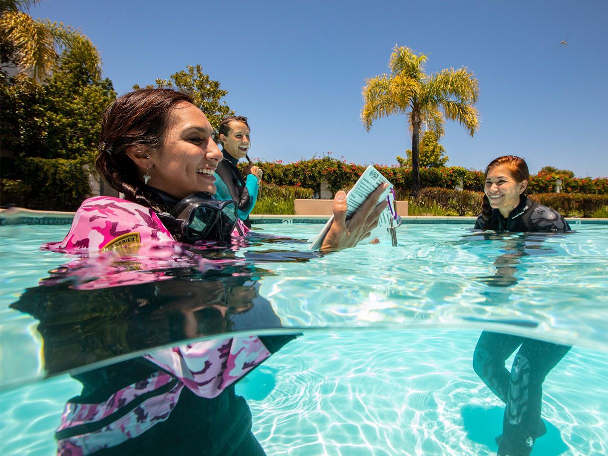 PADI Discover Scuba Diving - Dive Grenada