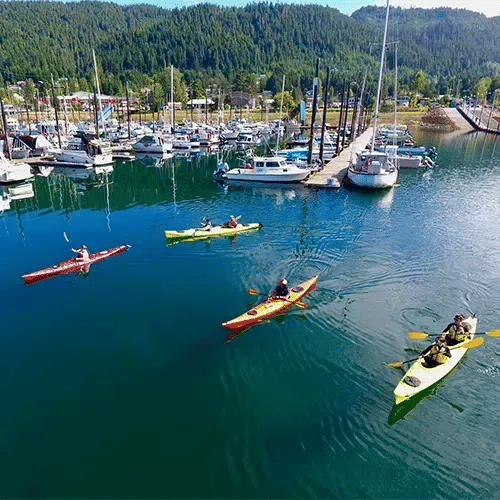Fairweather Icy Strait Point Kayak Adventure | Icy Strait Point Excursions