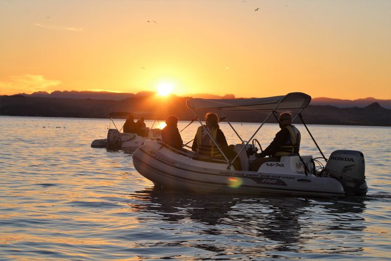 North Tour Topock Gorge Excursion In Lake Havasu - Rubba Duck Safari