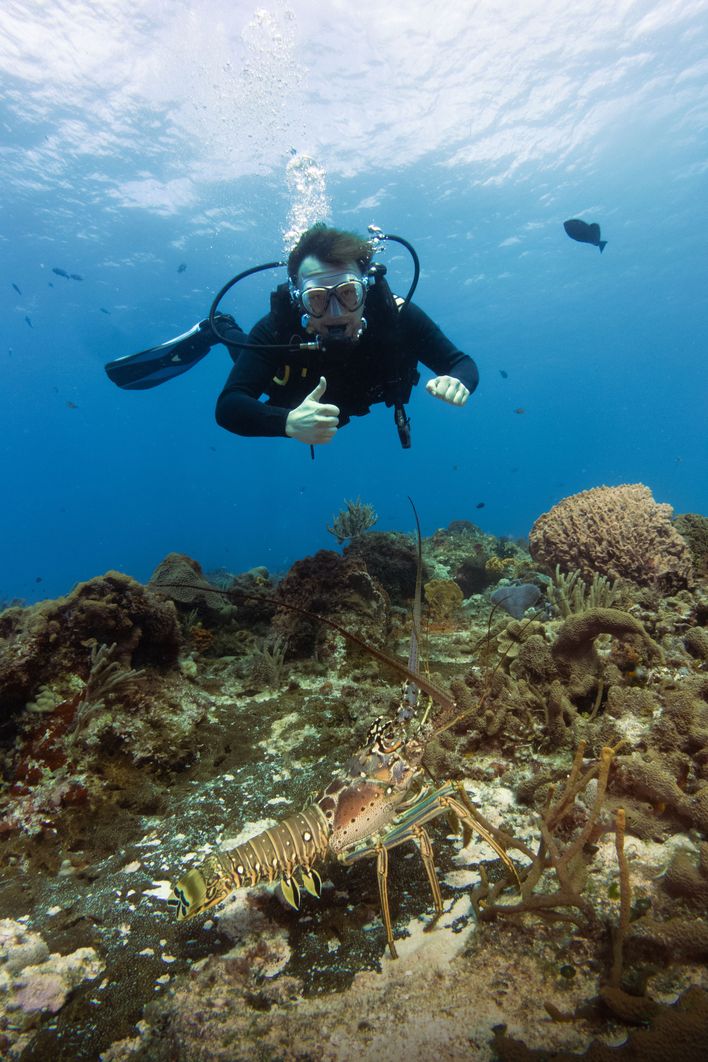 The Top Rated Diving Excursions In Grenada - Dive Grenada