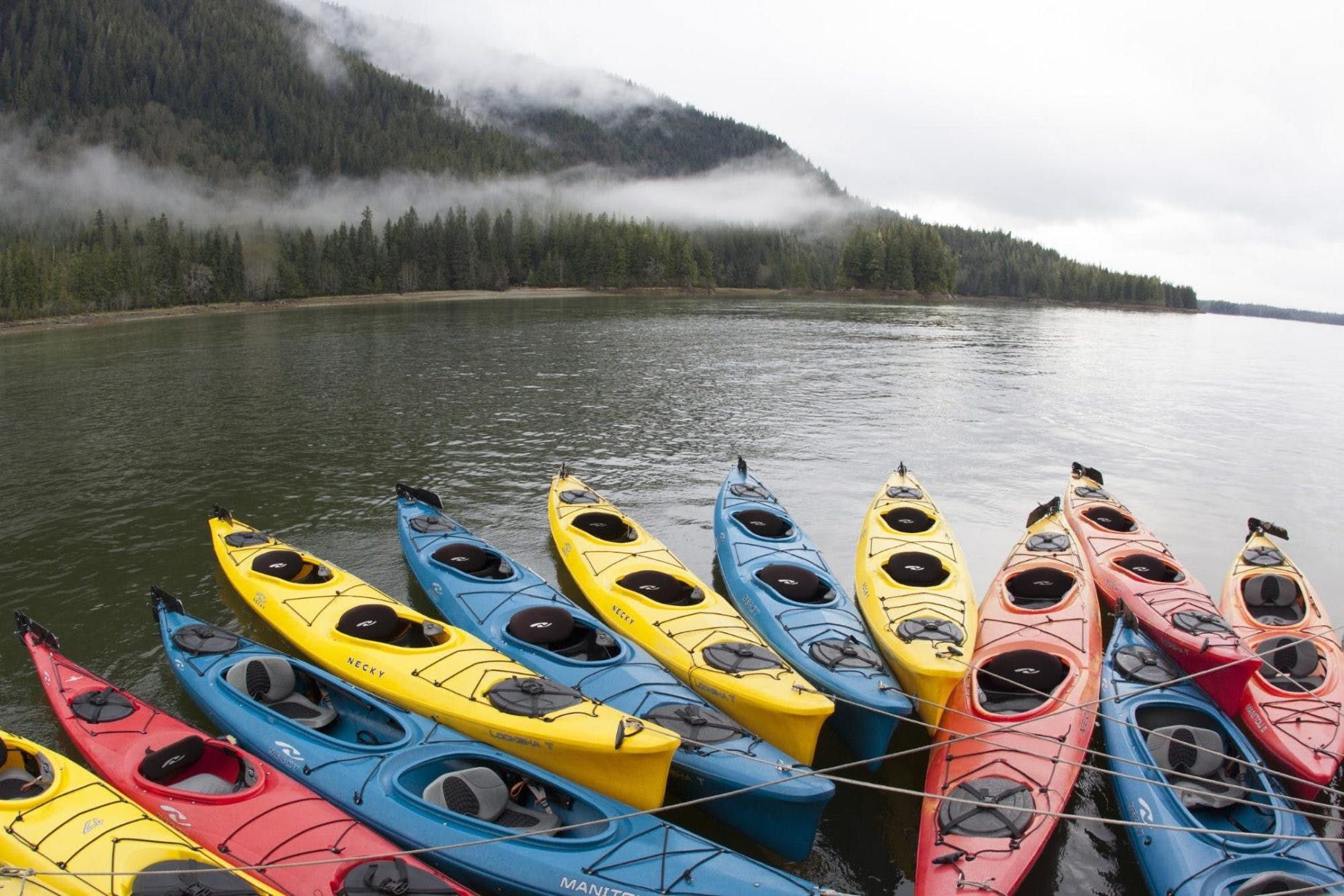 Icy Strait Kayak Adventure - Hoonah Travel Adventures