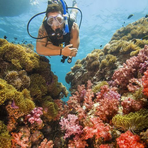 6 Dive Package - Dive Grenada