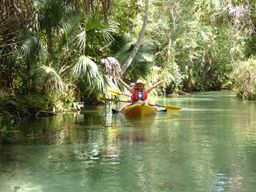 Emerald Cut Kayak Tour Orlando - Venture Outdoors