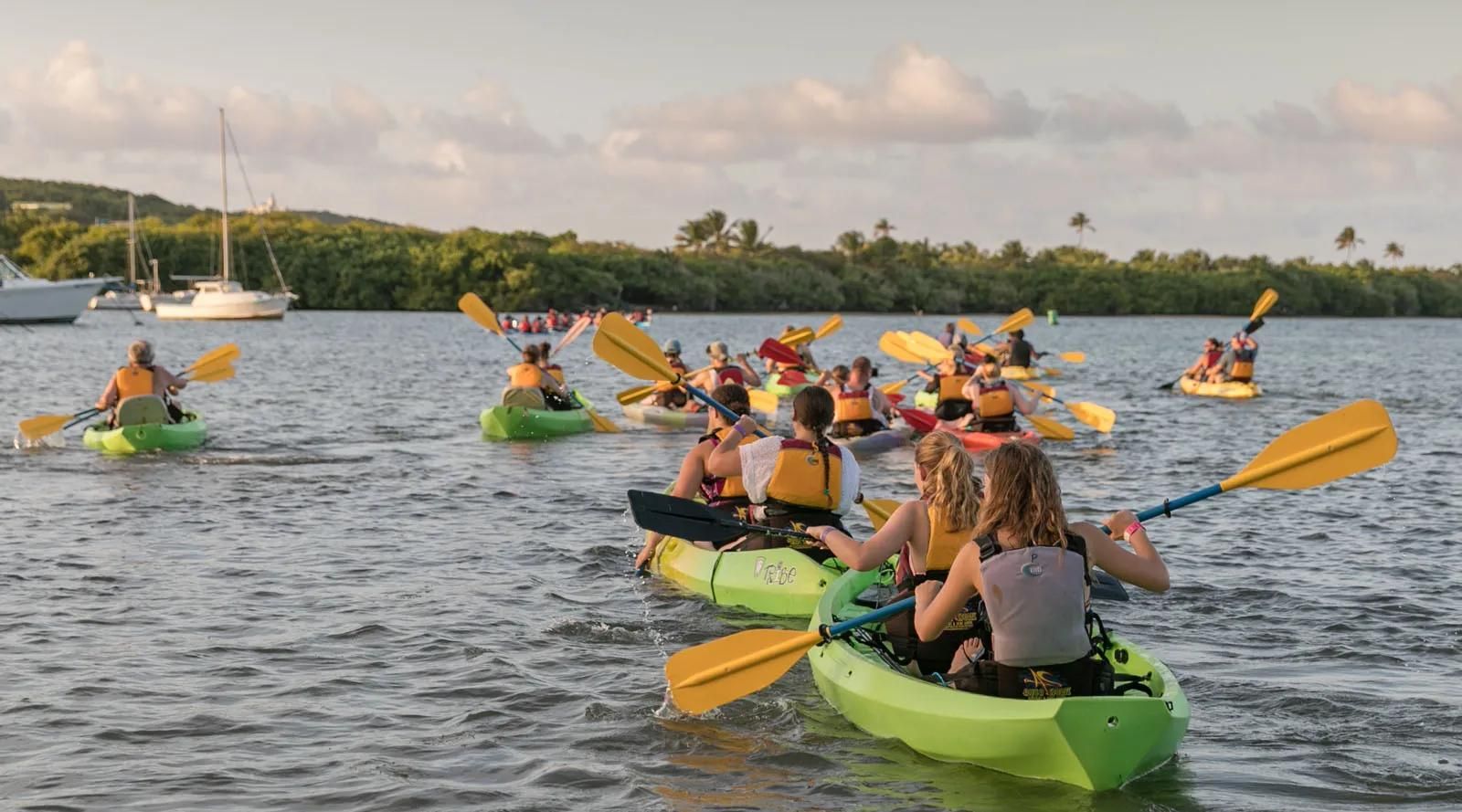 Wheelchair-Accessible Bioluminescent Bay Tour - Puerto Rico Access Tours
