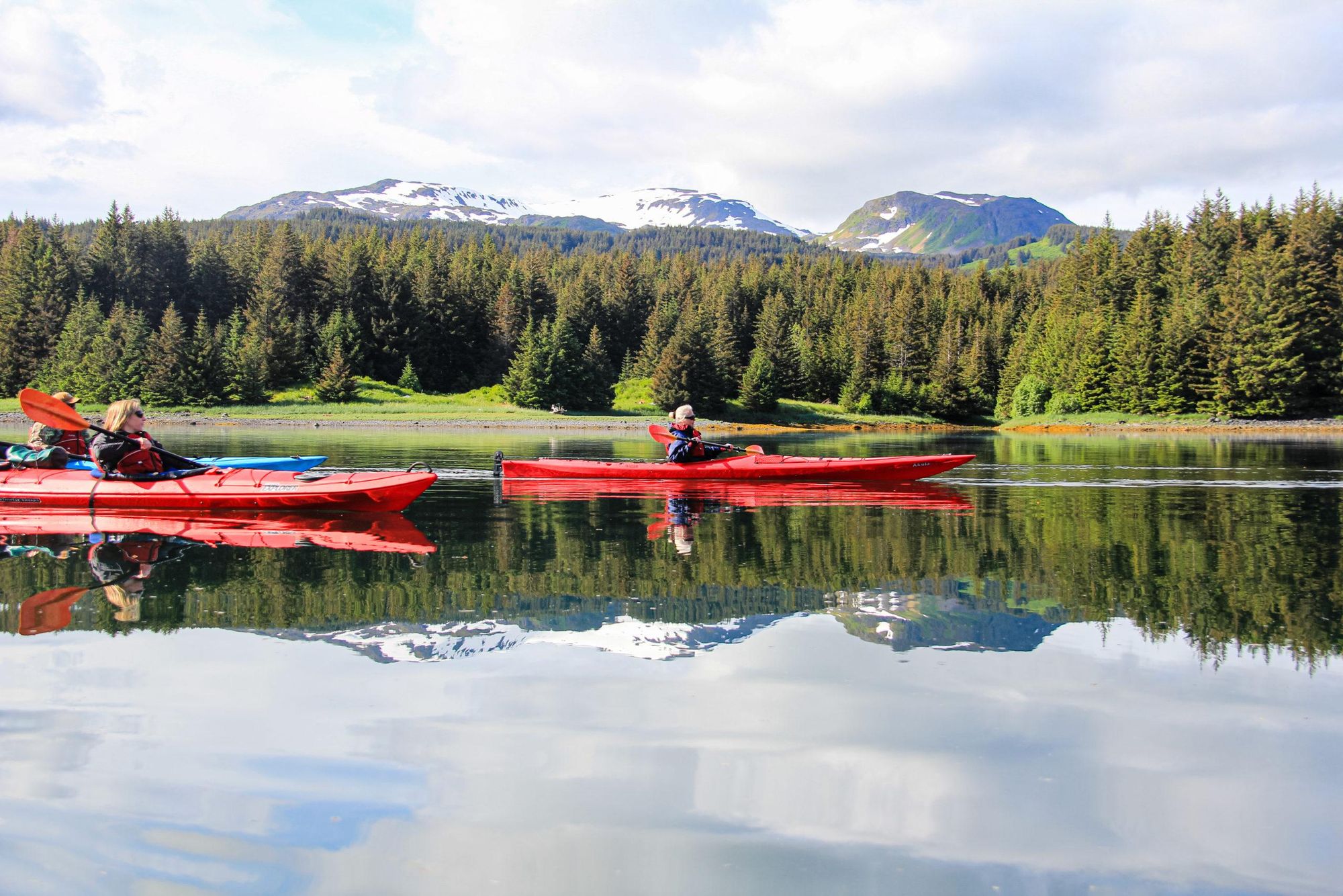 Sea Islands Expedition - Kayak Kodiak