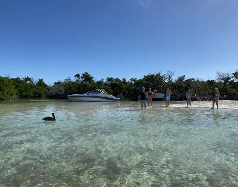 Mangrove Safari In The Mud Keys - Key West Sandbar Tour