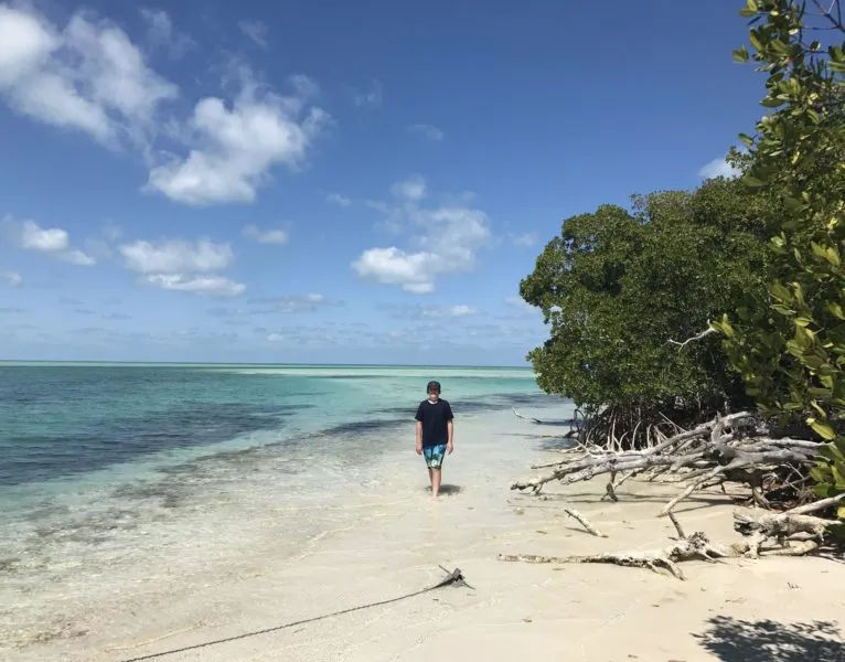 Mangrove Safari In The Mud Keys - Key West Sandbar Tour