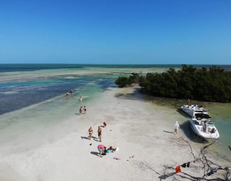 Mangrove Safari In The Mud Keys - Key West Sandbar Tour