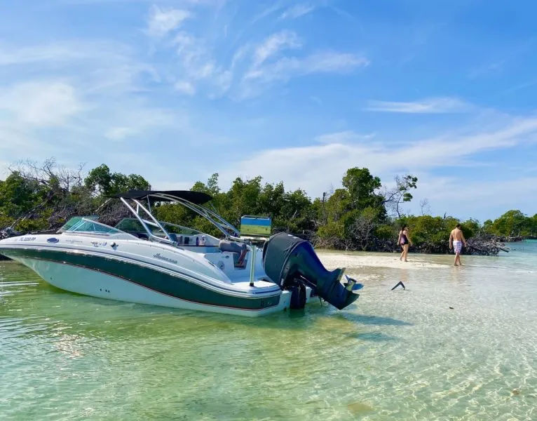 Mangrove Safari In The Mud Keys - Key West Sandbar Tour