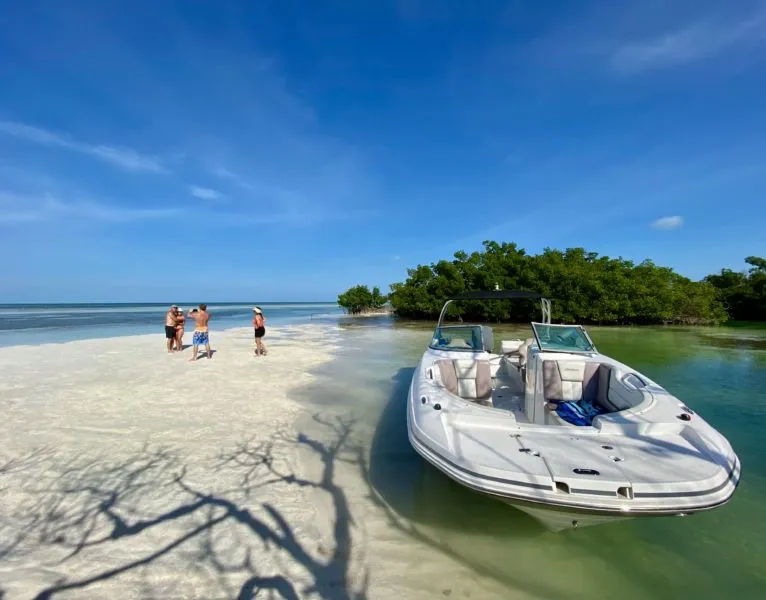 Mangrove Safari In The Mud Keys - Key West Sandbar Tour