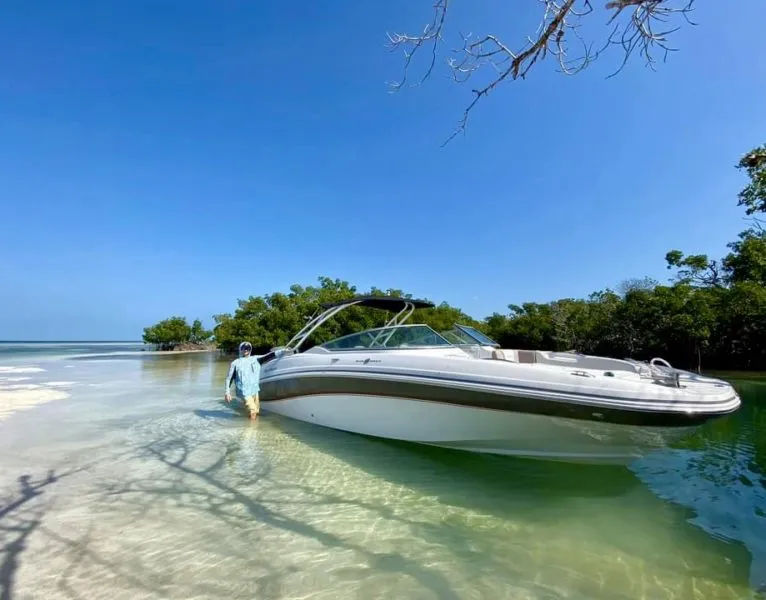 Mangrove Safari In The Mud Keys - Key West Sandbar Tour