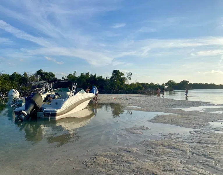 Mangrove Safari In The Mud Keys - Key West Sandbar Tour