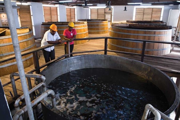 Mount Gay Distillery – Distillery Experience - Island Escapes