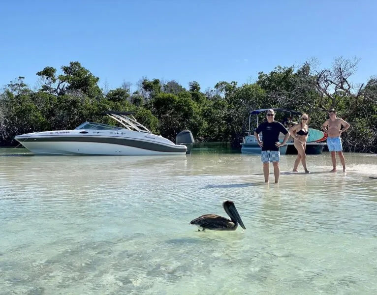 Mangrove Safari In The Mud Keys - Key West Sandbar Tour