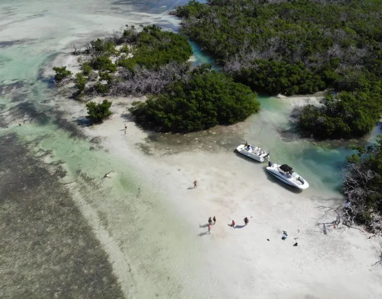 Mangrove Safari In The Mud Keys - Key West Sandbar Tour