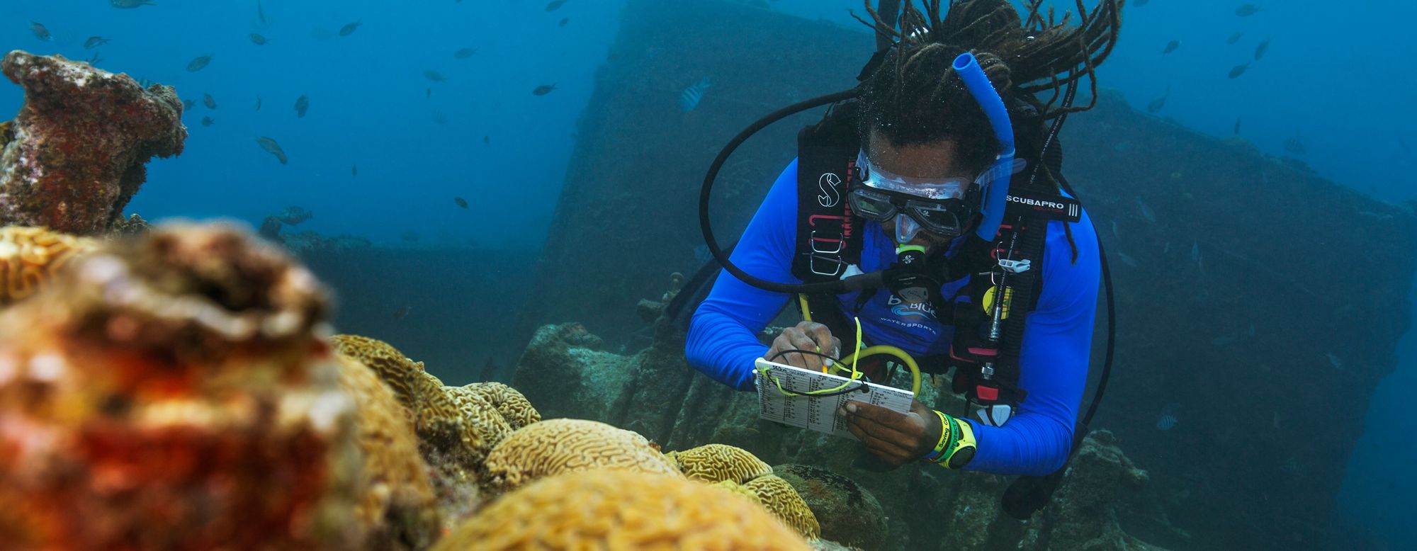 The Best Place To Learn Scuba Diving In Grenada - Dive Grenada