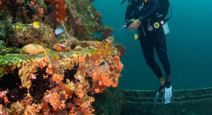 The Top Rated Diving Excursions In Grenada - Dive Grenada