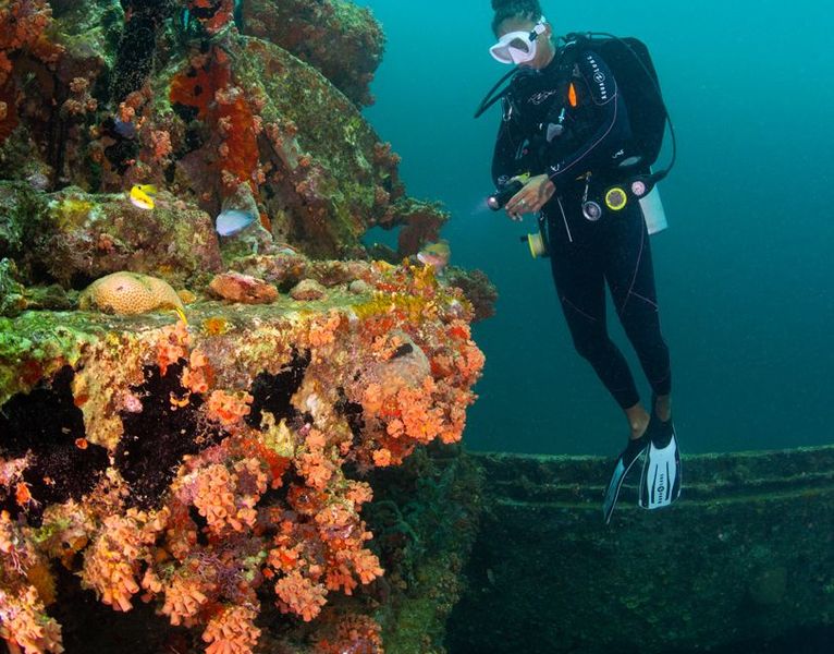 16 Dive Package - Dive Grenada