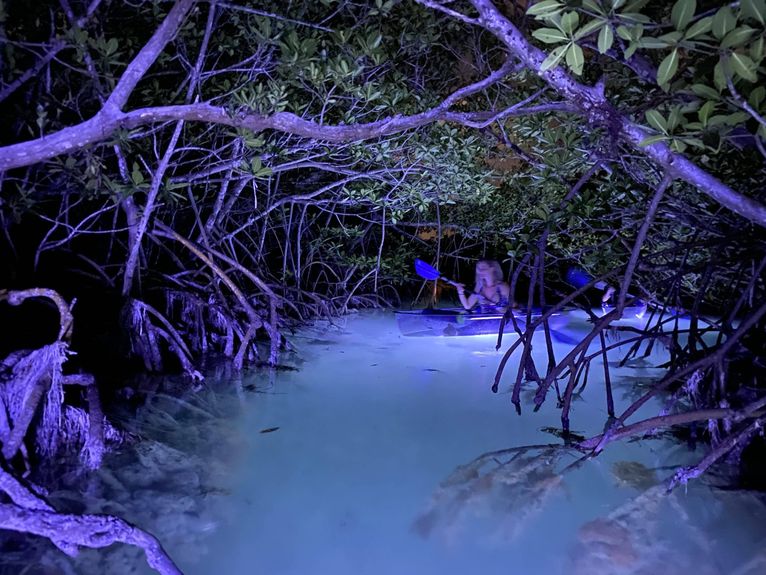 Night Kayak Guided Tour - Night Kayak