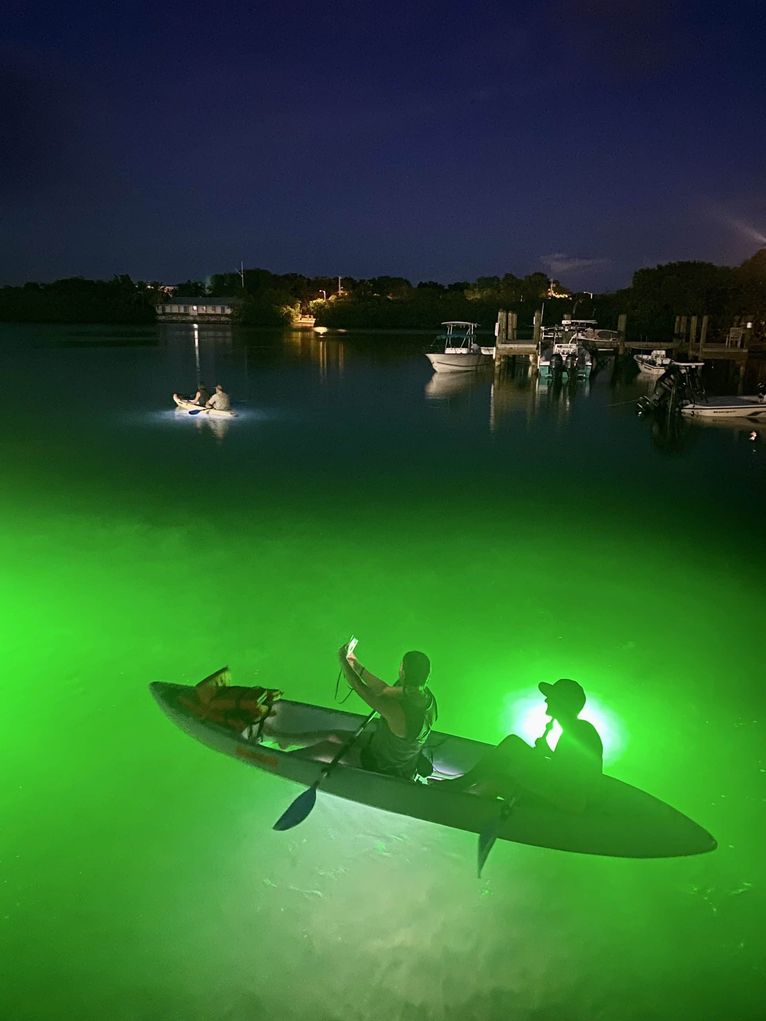 Night Kayak Guided Tour - Night Kayak