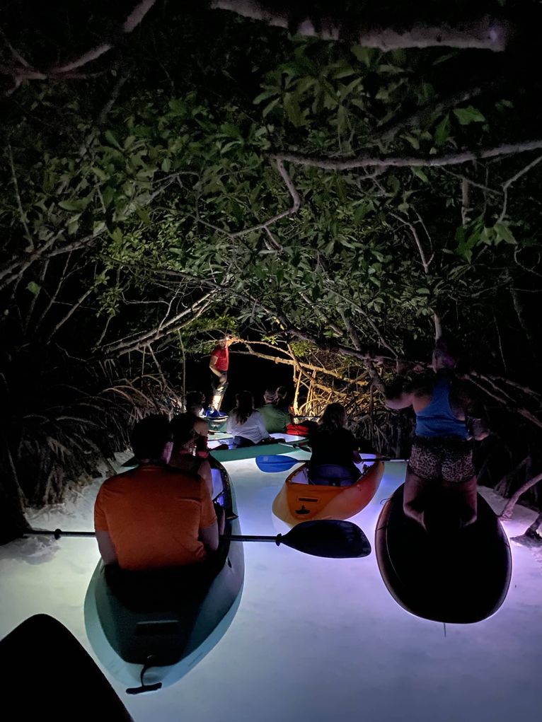 Night Kayak Guided Tour - Night Kayak