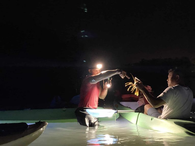Night Kayak Guided Tour - Night Kayak