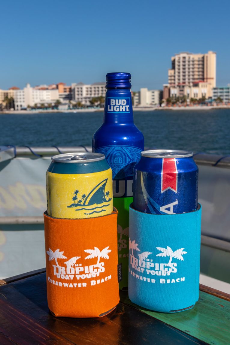 Dolphin Exploration Tours - The Tropics Boat Tours