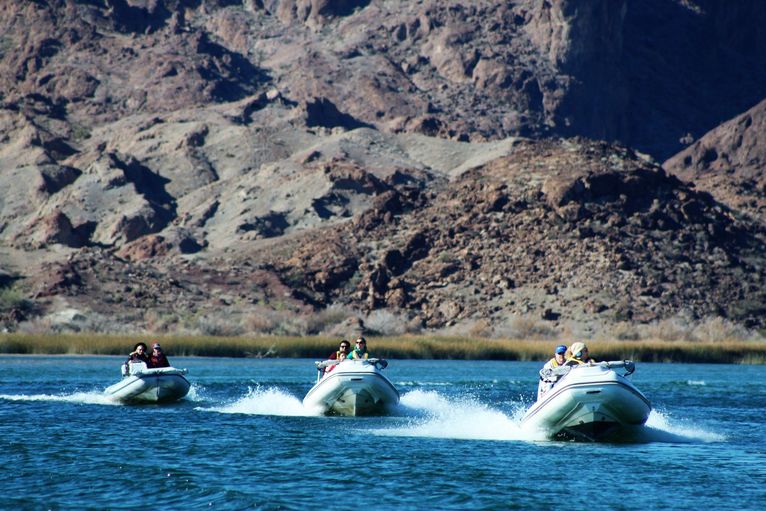 North Tour Topock Gorge Excursion In Lake Havasu - Rubba Duck Safari