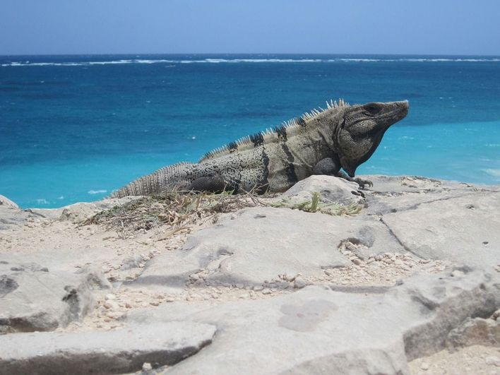 11 Exciting Turks And Caicos Excursions - Unique Tours & Rentals