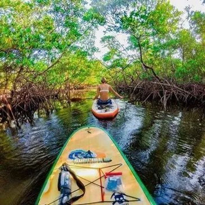 25 Exciting Fort Lauderdale Water Sports - Sunrise Paddleboards