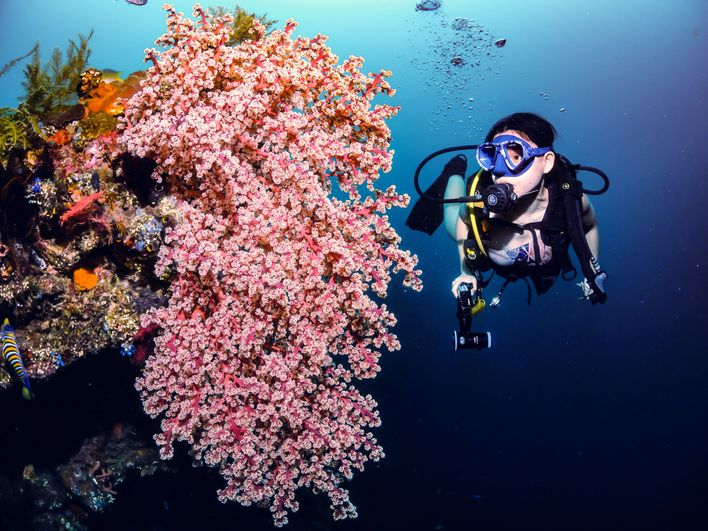 The Top Rated Diving Excursions In Grenada - Dive Grenada