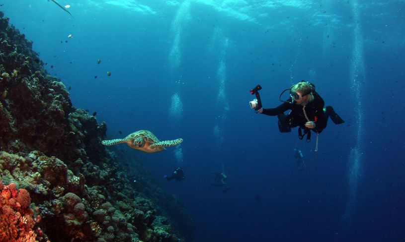 The Top Rated Diving Excursions In Grenada - Dive Grenada
