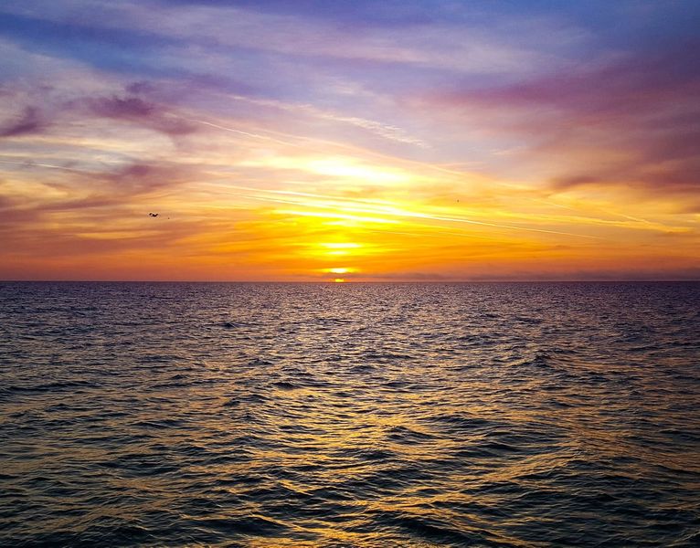 Sunset Celebration Cruises - The Tropics Boat Tours