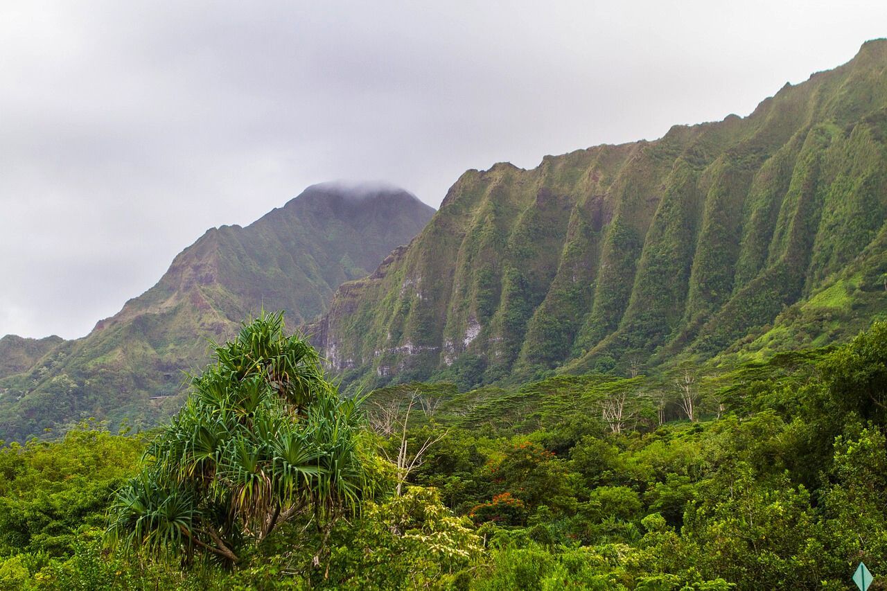 13 Oahu Hidden Gems You Need To See To Believe