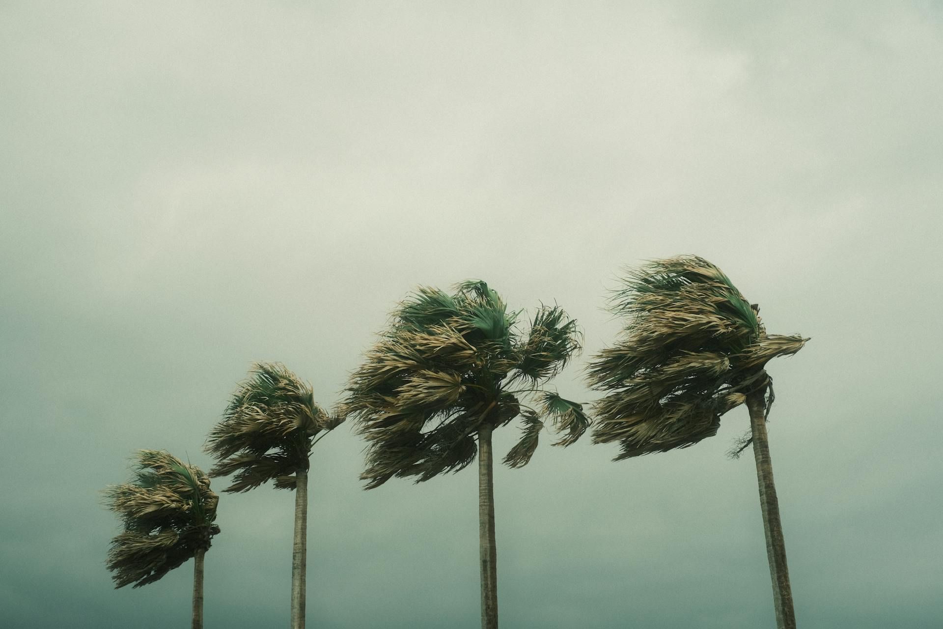 Key West Hurricane Season - 7 Tips How To Prepare And Stay Safe
