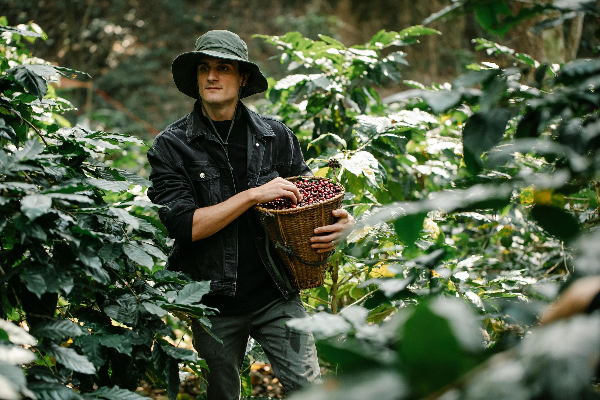 Visit The Green World Coffee Farm - Enjoy The Flavors Of Oahu
