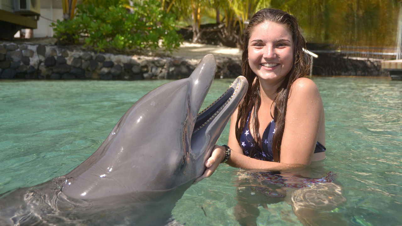 Swim With Dolphins Key West - 5 Prime Locations For Dolphin Encounters