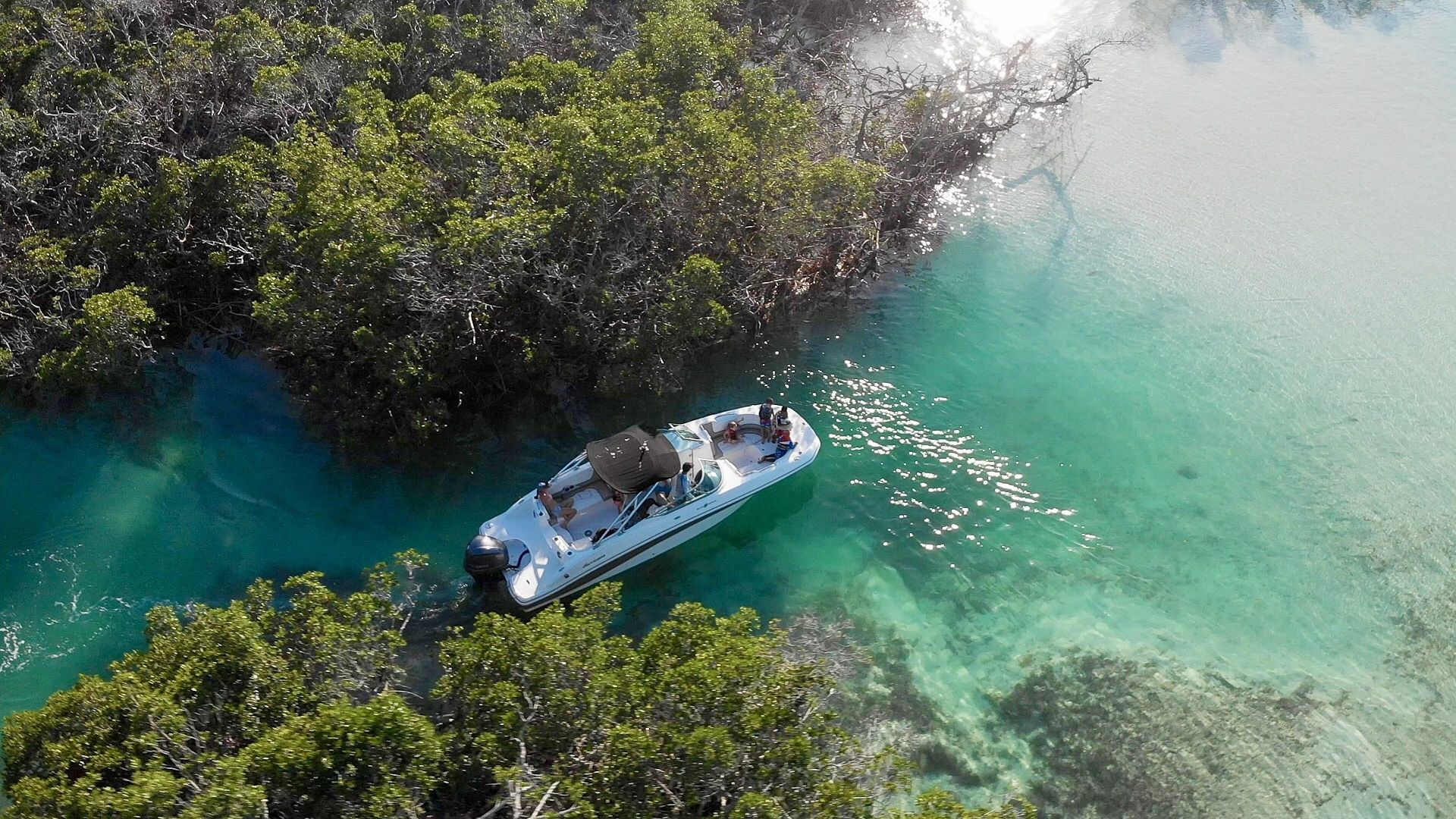 7 Irresistible Reasons To Visit The Boca Grande Key - Key West Sandbar ...