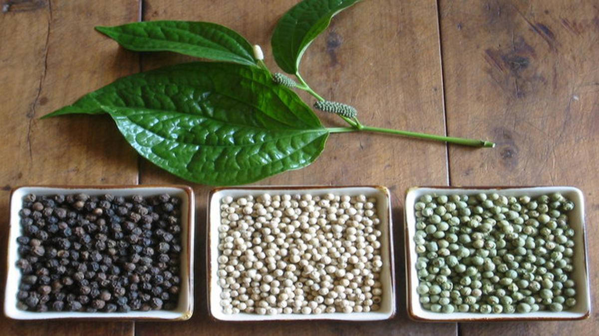 Perbedaan Lada Hitam dan Lada Putih, Tidak Hanya Warnanya Saja