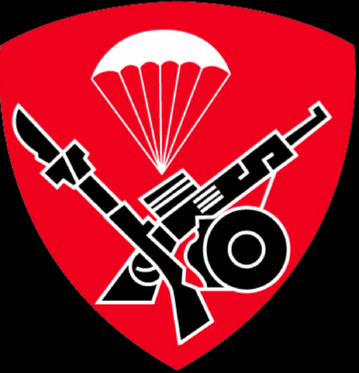 Jejak Senapan Serbu Legendaris Pada Operasi Trikora dan Dwikora