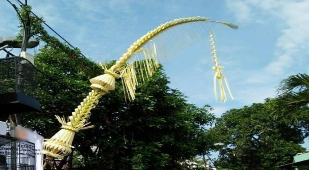 Janur Kuning: Serba-serbi dan Mitosnya