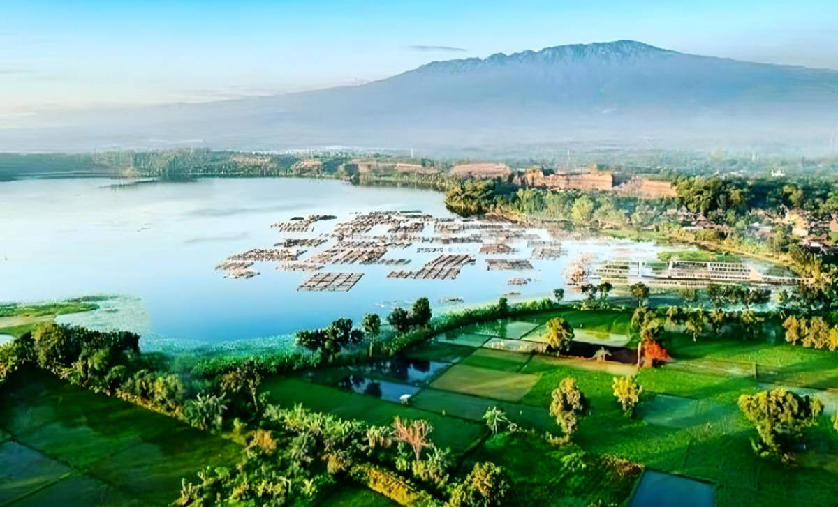 Mengenal Ikan Asli di Danau Ranu Grati