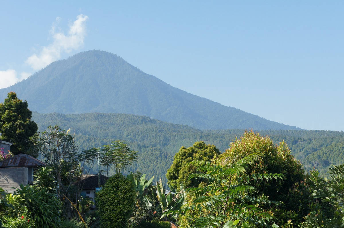 Indahnya Cagar Alam Gunung Mutis, Mitos, dan Ritual Adat di Gunung Mutis