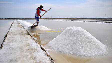 Produksi Garam Nasional Capai 2,5 Juta Ton, Jawa Timur Terbesar