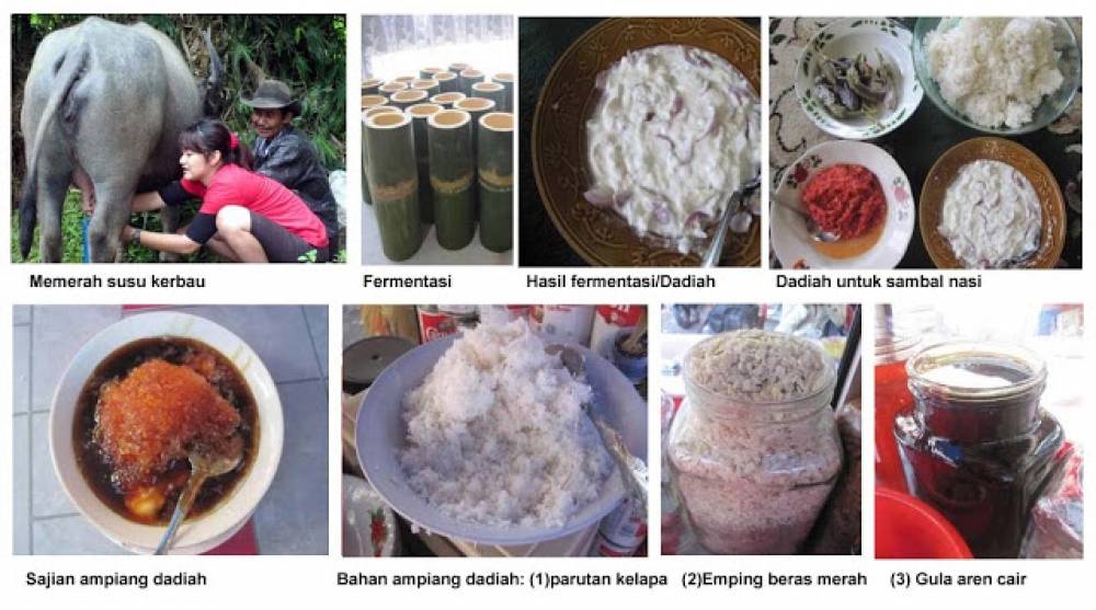 Dadiah, Yoghurt From Minangkabau