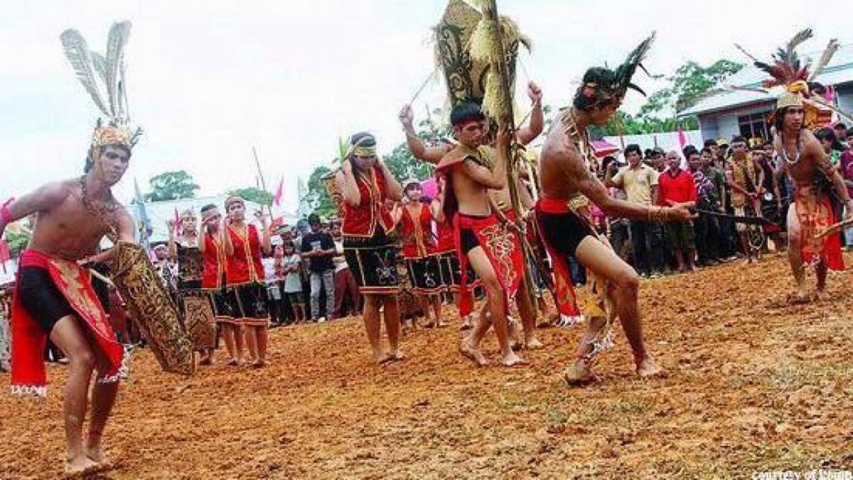 Ritual Naik Dango Bentuk Syukur Atas Hasil Panen Padi Suku Dayak Kanayatn