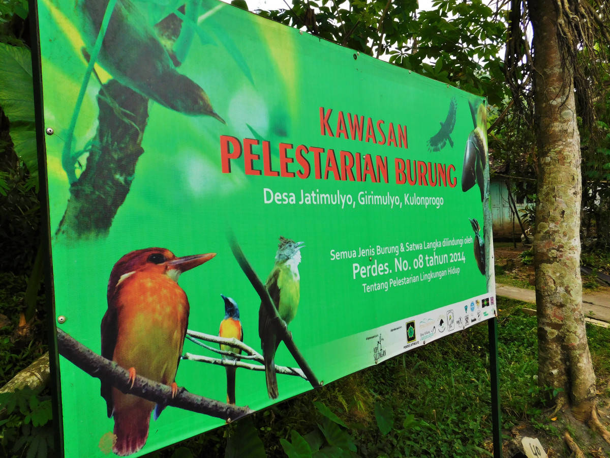 Selamatkan Burung dengan Cara Unik Bersama Mas Kelik